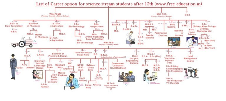 List of Career Option in India in 2020 in 2020 - Wisdom TechSavvy Academy